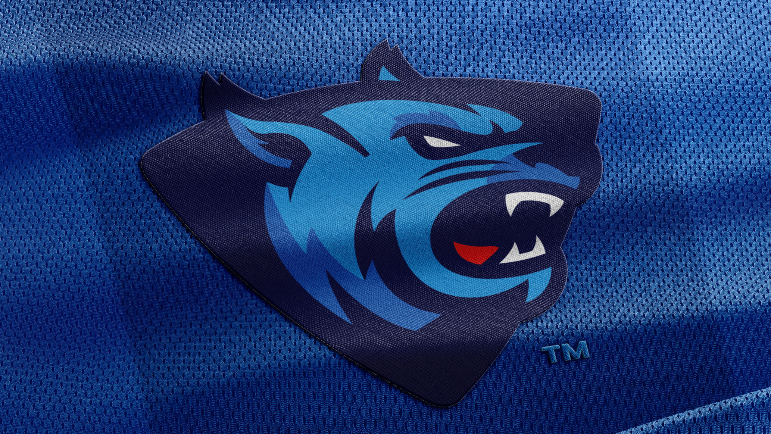 Rust College - ALLHBCUFootball.com